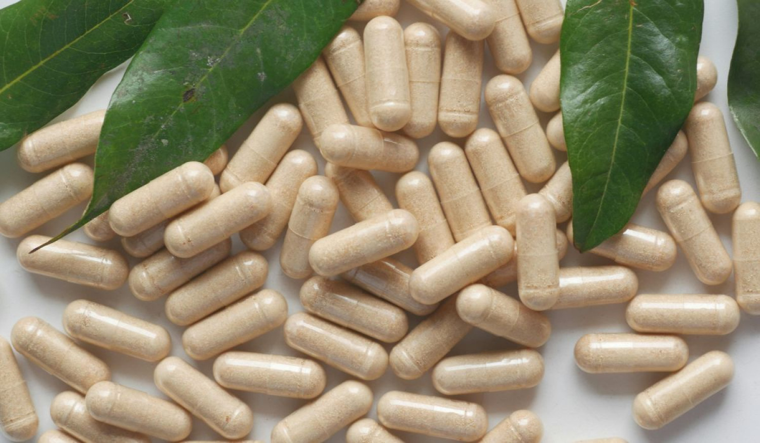 All Natural ≠ All Safe: The Hidden Risks of Natural Substances